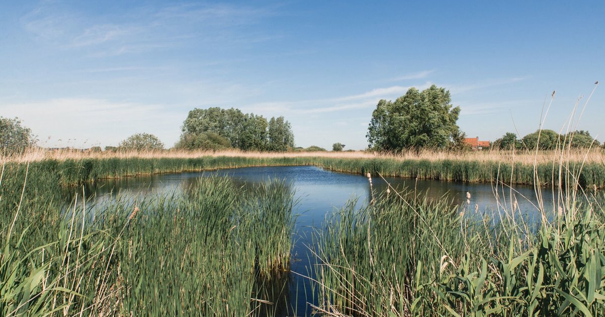 Logeren langs de Meetjeslandse kreken