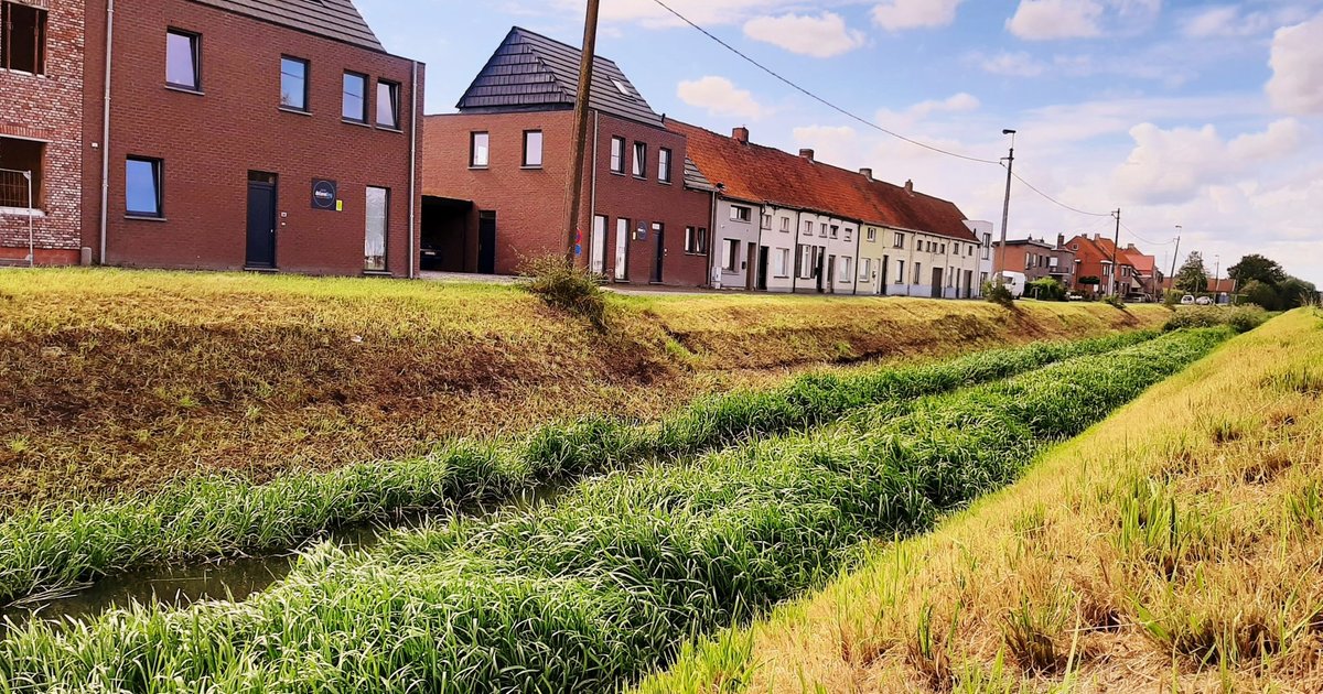 De Lieveling | Meetjesland